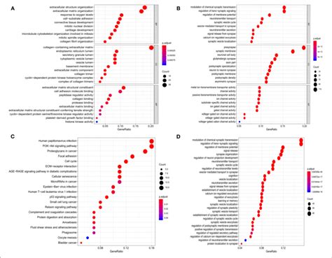 Functional Enrichment Analysis Of The Degs A B Go Enrichment