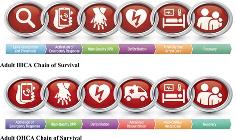 Part 3 Adult Basic And Advanced Life Support 2020 American Heart
