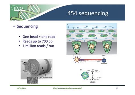 Ngs Basic Principles And Sequencing Platforms