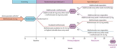 Comparison Between Adalimumab Introduction And Methotrexate Dose