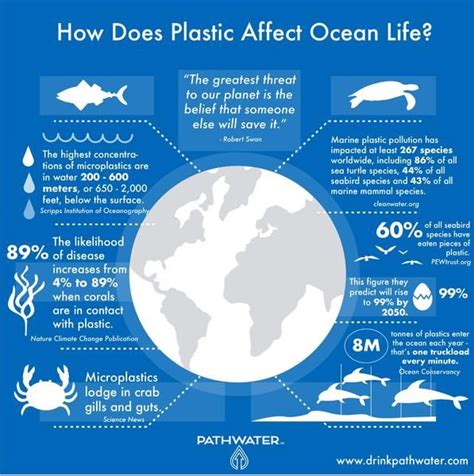 World Oceans Day How Does Plastic Affect Ocean Life Pathwater