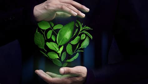 Why Esg Matters And Why It Is Important For Your Business