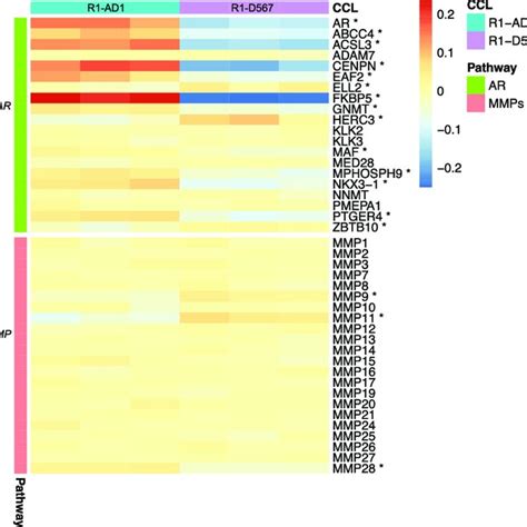 Differential Expression Analysis Of Mmp Pathway Genes Between R1 Ad1