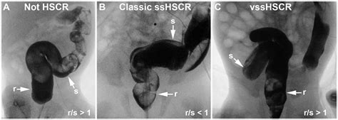 Surgery Surgical Pathology And Postoperative Management Of Patients