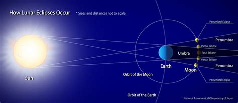 total lunar eclipse on january 31 january 2018 naoj national