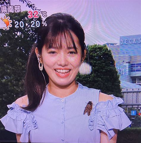 めざましテレビで『セミ』が話題に！ 7ページ目 トレンドアットtv