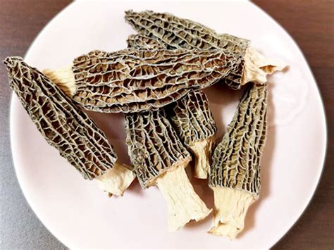 編み笠茸 乾燥 株式会社東源物産