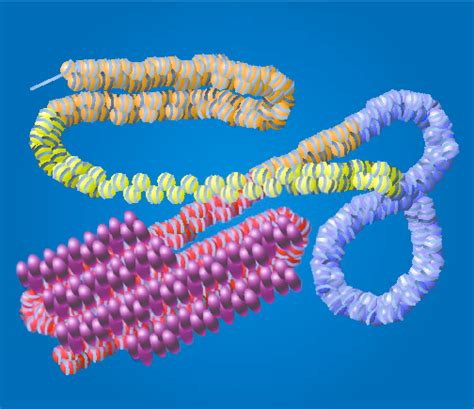 Chromatin Fiber Heterogeneity Influences The Structural Characteristics