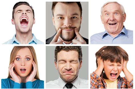 The Emotion Recognition Task Displayed Are Examples O