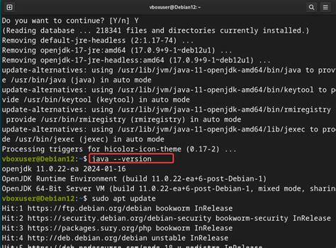 installing openjdk 11 on debian 12 server or desktop linux shout