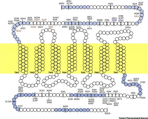 Successful Strategies To Determine High Resolution Structures Of Gpcrs