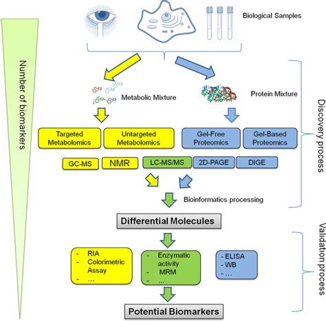 Workflow For Biomarkers Discovery Process The Figure Shows That The
