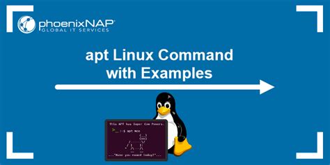 apt linux command with 13 examples phoenixnap kb