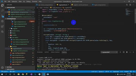 20 angular 8 and asp net core 3 api encryption and decryption in