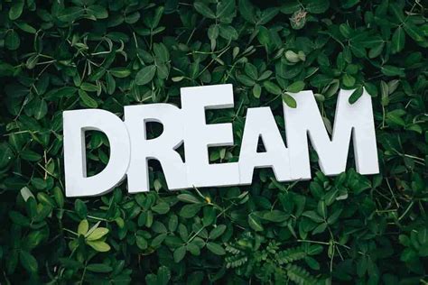 120 Best Dreams And Goals Examples To Set And Achieve