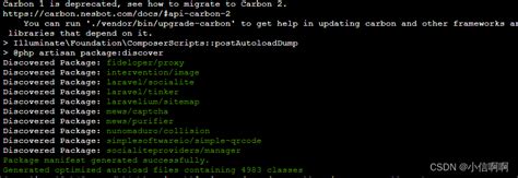 laravel composer 出现 packagemanifest php undefined index name in