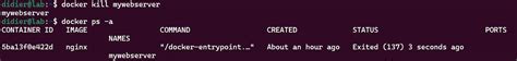 how to start and stop docker containers step by step cherry servers