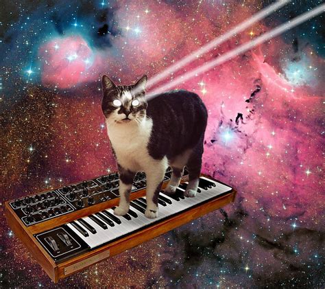 Cats In Space Laser