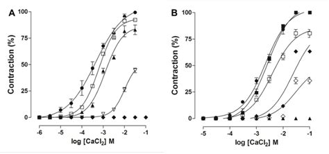 Cumulative Concentration Response Curves To Cacl2 In A Depolarizing