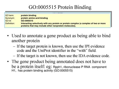 Annotating Gene Products To The Go Ppt Download