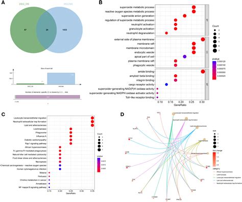 Frontiers Identification And Validation Of Immune And Oxidative