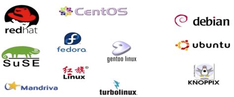 linux 基础知识（一） linux writeonread csdn博客