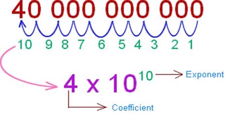 convert scientific notation to decimal numbers assignment point