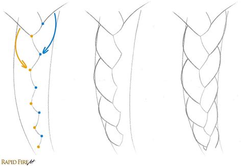 How To Draw Braids In 10 Steps Plus Videos Rapidfireart