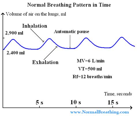 Normal Breathing Rate Chart In Time Respiratory Therapy Respiratory
