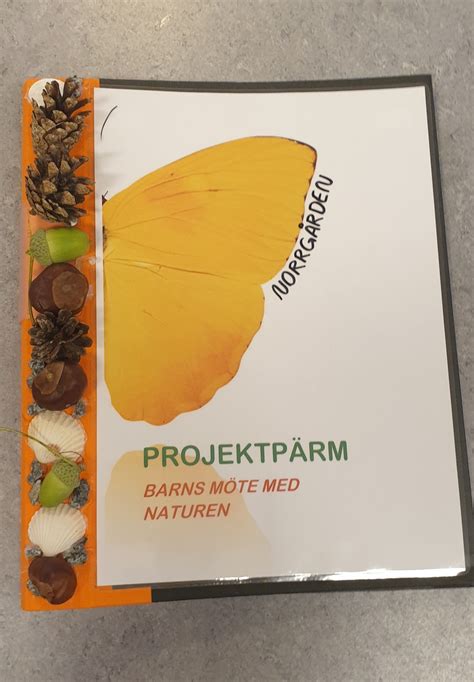 Pedagogisk Planering I Skolbanken Norrgården Projektbeskrivning 2020 2021