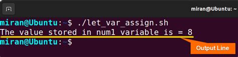 How To Assign Variable In Bash Script [8 Practical Cases] Linuxsimply