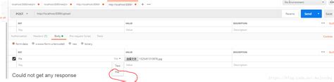 使用postman上传文件，有图易懂 postman怎么发送文件 csdn博客