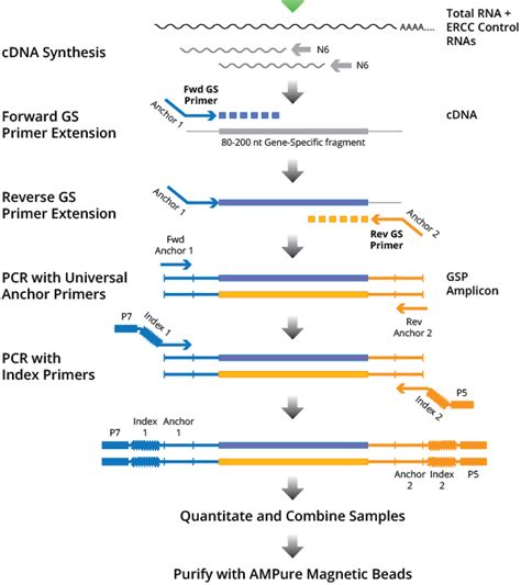 Drivermap Targeted Rna Sequencing Expression Profiling Exp Cellecta