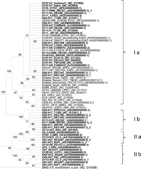 Phylogenetic Tree Based On Iha Sequences From 67 E Coli And Shigella