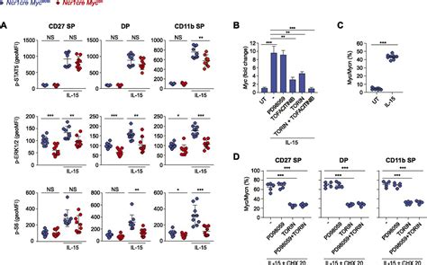 Myc Controls Nk Cell Development Il 15 Driven Expansion And