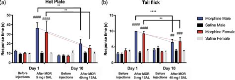 The Effects Of Chronic High Dose Morphine On Microgliosis And The