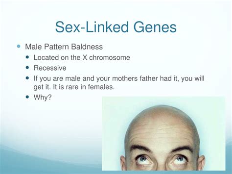 Ppt Sex Linkage Powerpoint Presentation Free Download Id 2343689