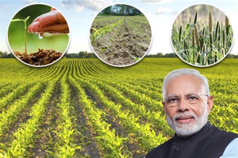 फर्जी किसान सावधान Pm किसान निधि स्कीम का लिया गलत फायदा वापस करने