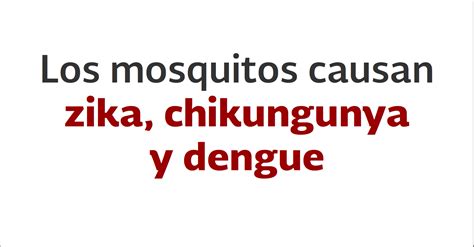Evita El Zika Chikungunya Y Dengue Secretaría De Salud Gobierno