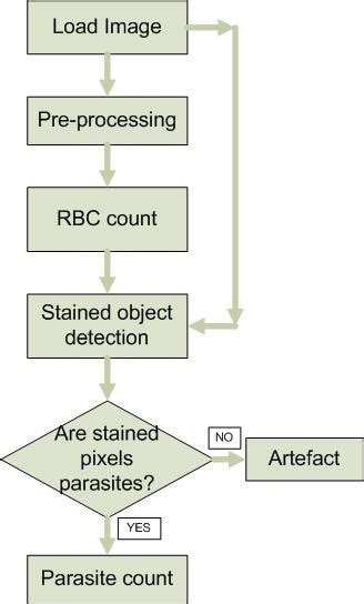 Flowchart Describing The Steps Of The Proposed Algorithm Download