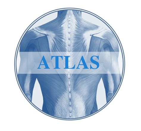 Book Online Atlas Registered Massage Therapy