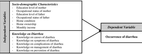 conceptual framework showing association between independent variables