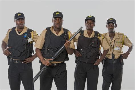 Alarms And Panic Response Safeguard Security Zimbabwe