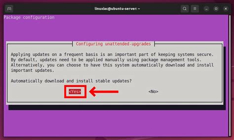 how to set up automatic security updates on ubuntu complete guide