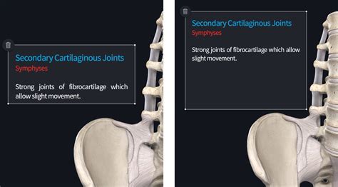 textbox complete anatomy