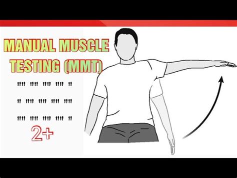 All You Need To Know About Mmt Manual Muscle Testing In 49 Off