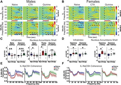 Unraveling Sex Differences In Affect Processing Unique Oscillatory