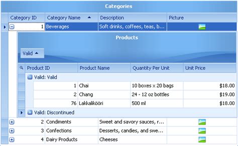 how to create nested gridview with expand collapse in mvc4 ~ asp