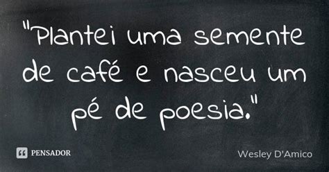 “plantei Uma Semente De Café E Nasceu Wesley Damico Pensador