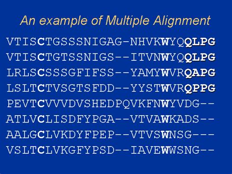 an example of multiple alignment